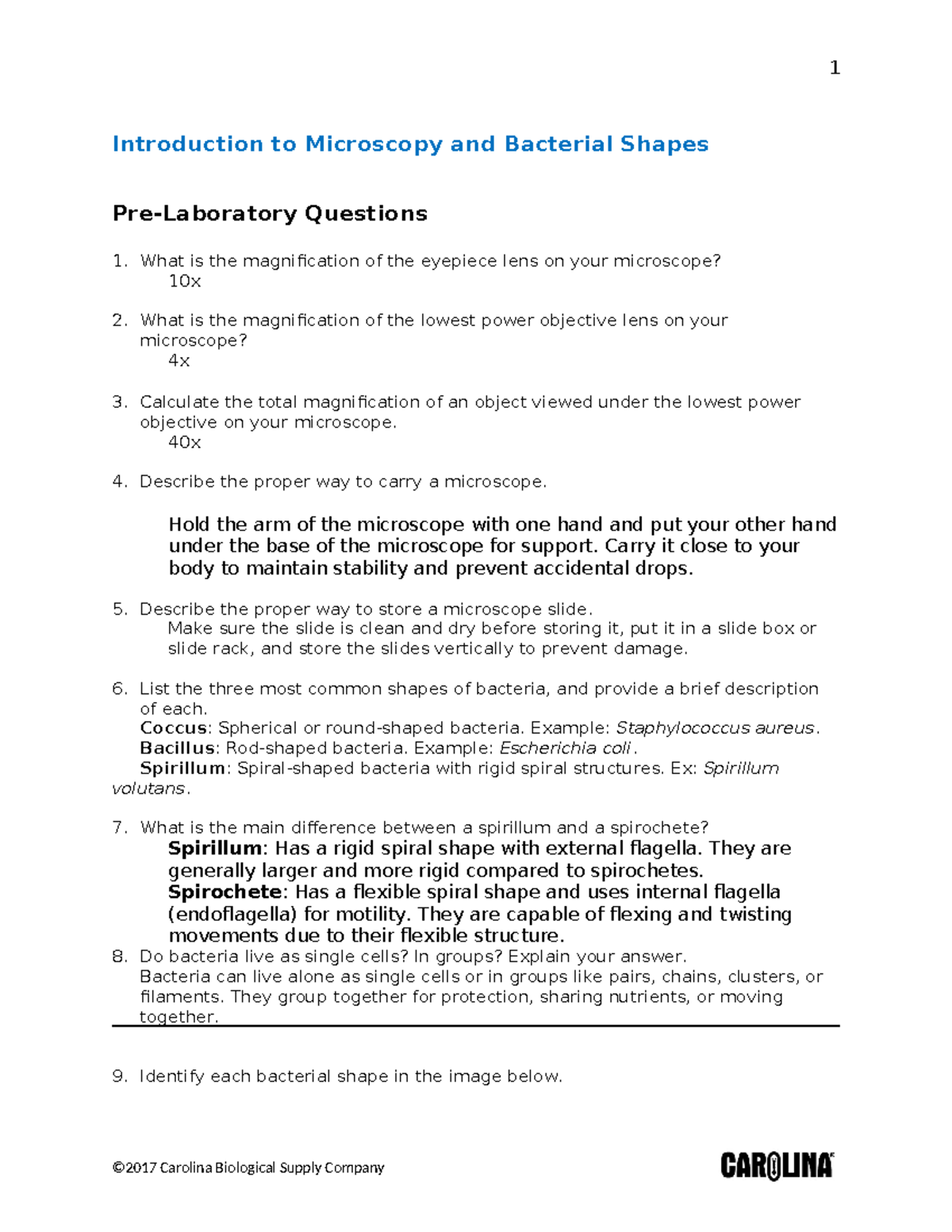 Intro to Microscopy and Bacterial Shapes answer sheet rev FA19 ...