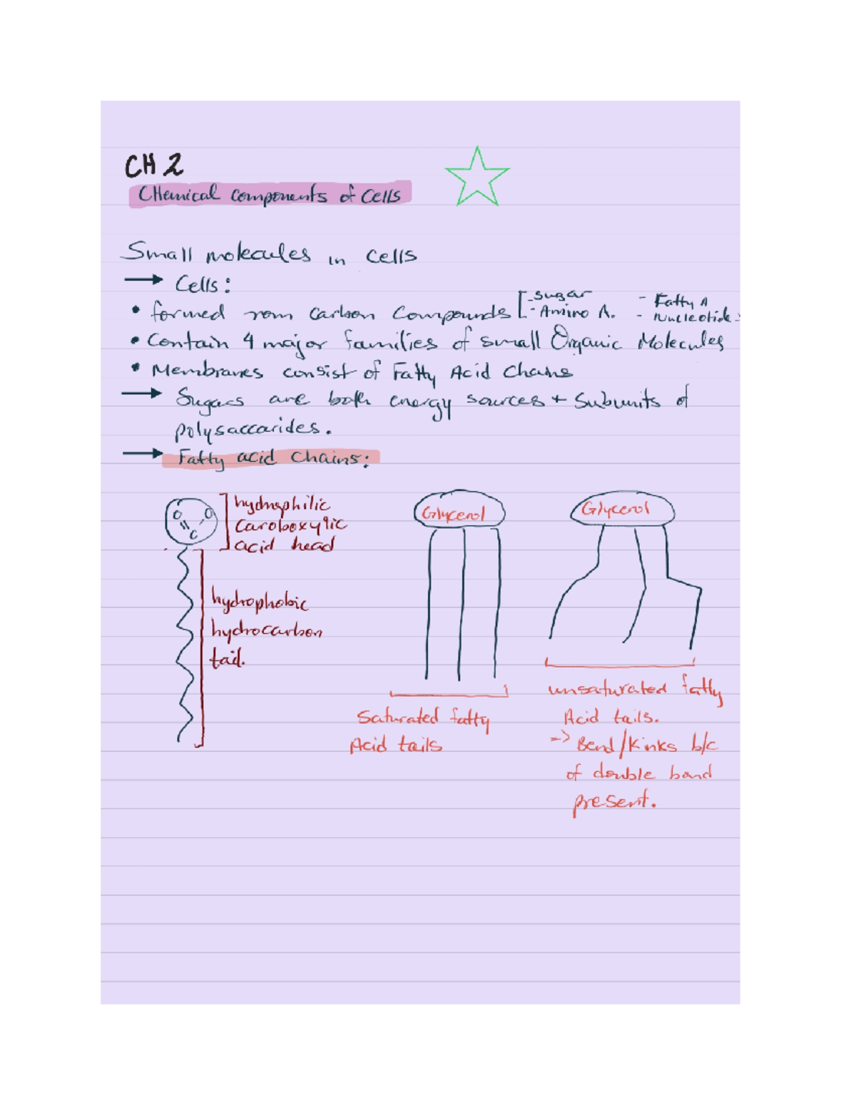 CH 2- Chemical Components of Cells - BIOL 491 - Studocu