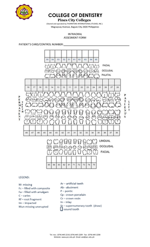 Phases of the Tooth Handout - Pre- eruptive phase(Preparatory stage) 1 ...