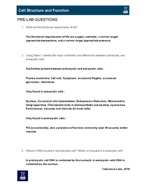Case Executive Summary - EXECUTIVE SUMMARY Prepared for: Dr. Leif ...