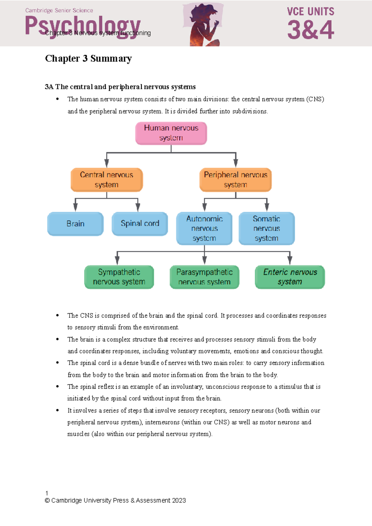 Chapter-3-Summary - Summary Notes - Chapter 3 Summary 3A The central ...