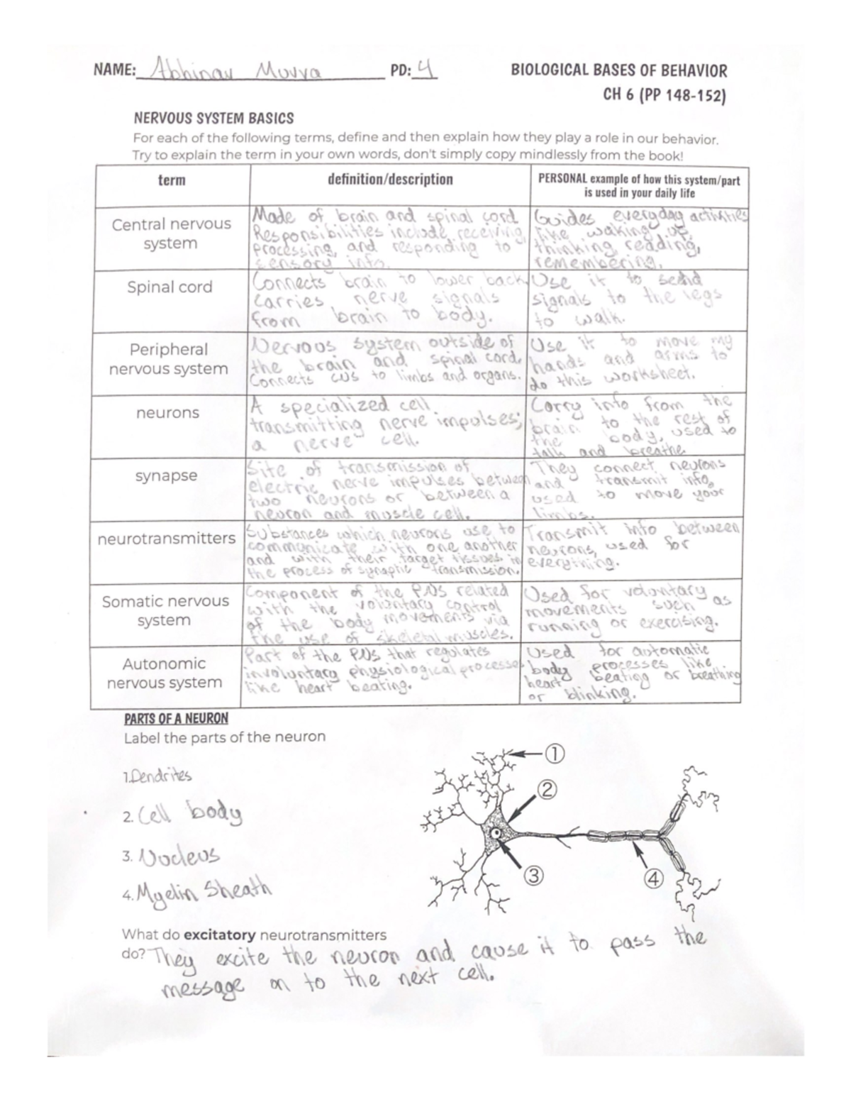 Biological Bases OF Behavior - Studocu