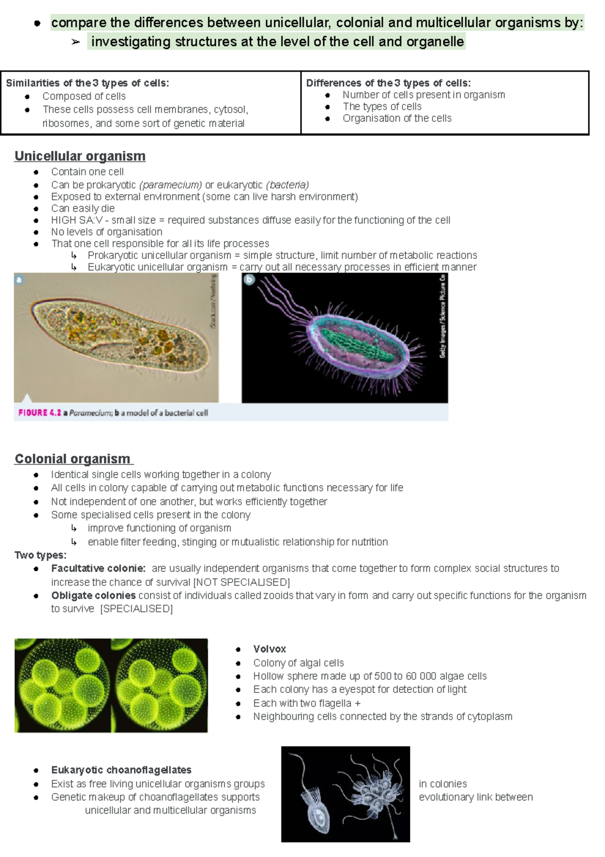 IQ1 - How are cells arranged in a multicellular organism - compare the ...