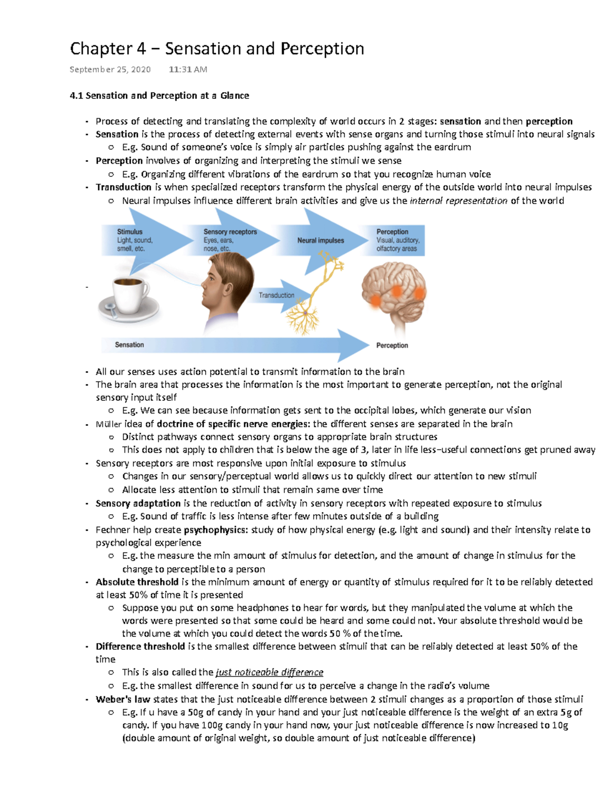 Chapter 4 copy (1) - psyc notes - Chapter 4 − Sensation and Perception ...