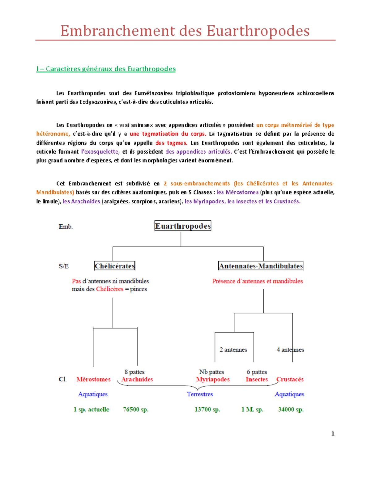 Biologie - Embranchement des Euarthropodes - Embranchement des ...