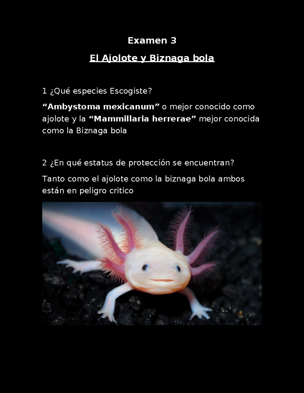 Examen 3 - Examen 3 El Ajolote y Biznaga bola 1 ¿Qué especies Escogiste ...
