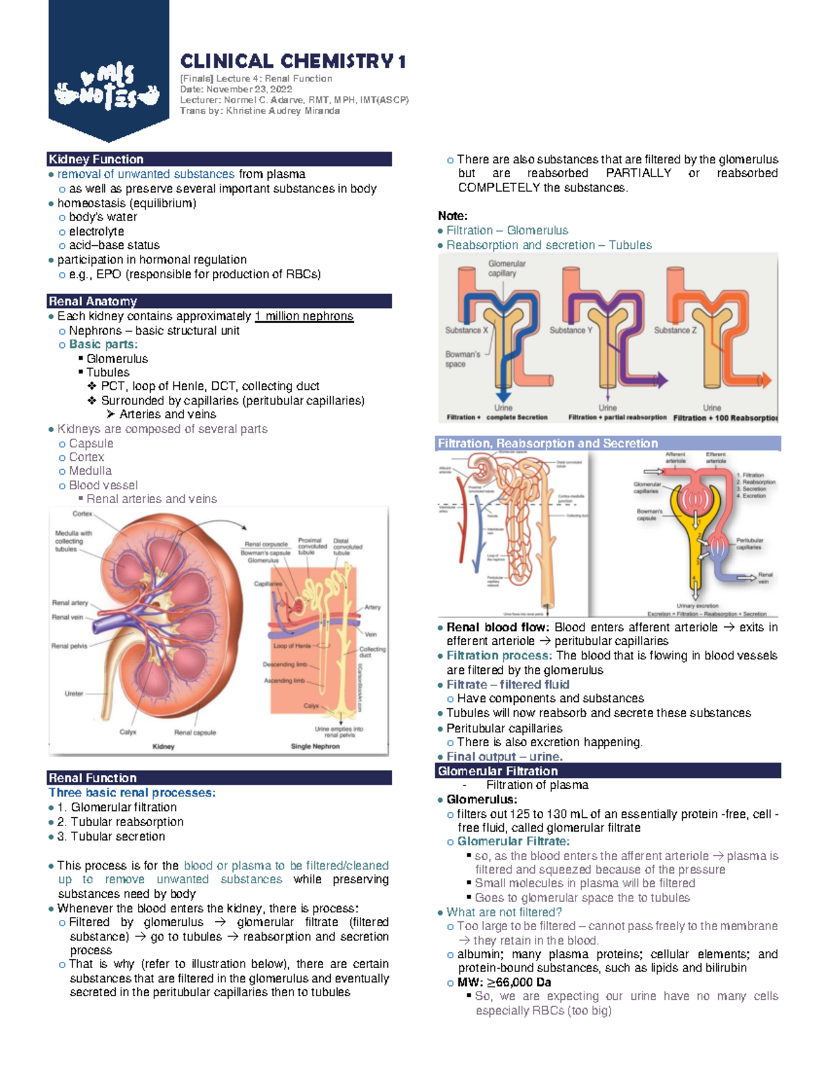 Renal-Function - CLINICAL CHEMISTRY 1 [Finals] Lecture 4 : Renal ...