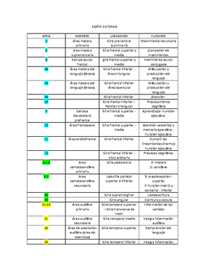 Pares Craneales - Resumen - Warning: TT: undefined function: 32 Warning: TT: undefined function ...