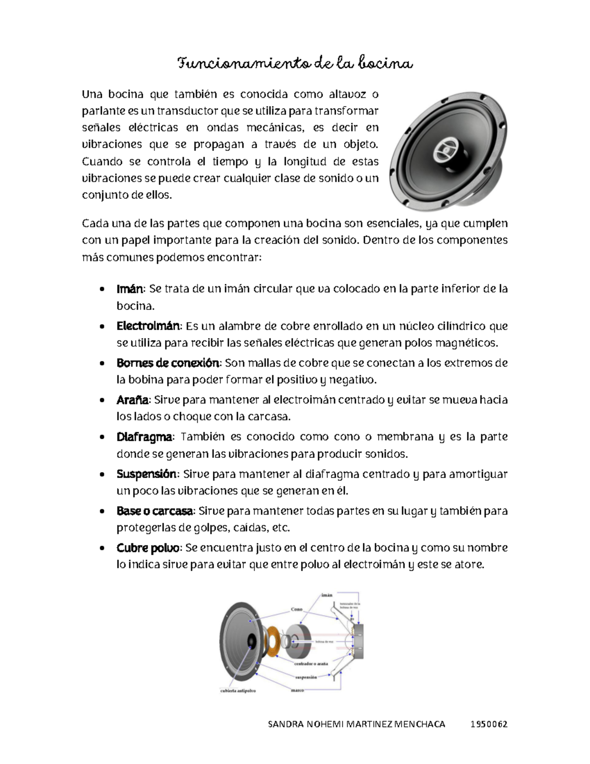 Bocina-P4 - llll - SANDRA NOHEMI MARTINEZ MENCHACA 1950062 ...