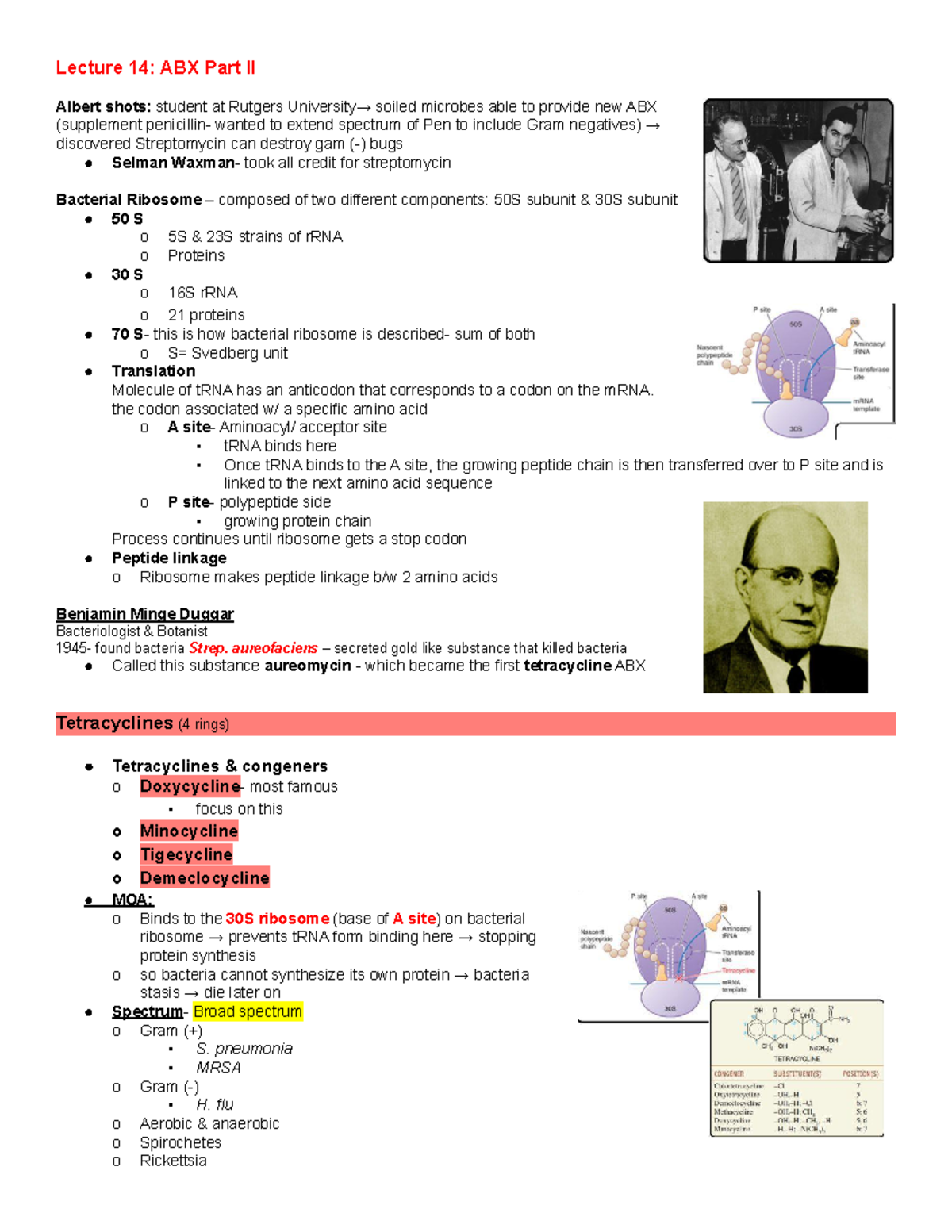 L14- ABX part II (notes done) - Lecture 14: ABX Part II Albert shots ...