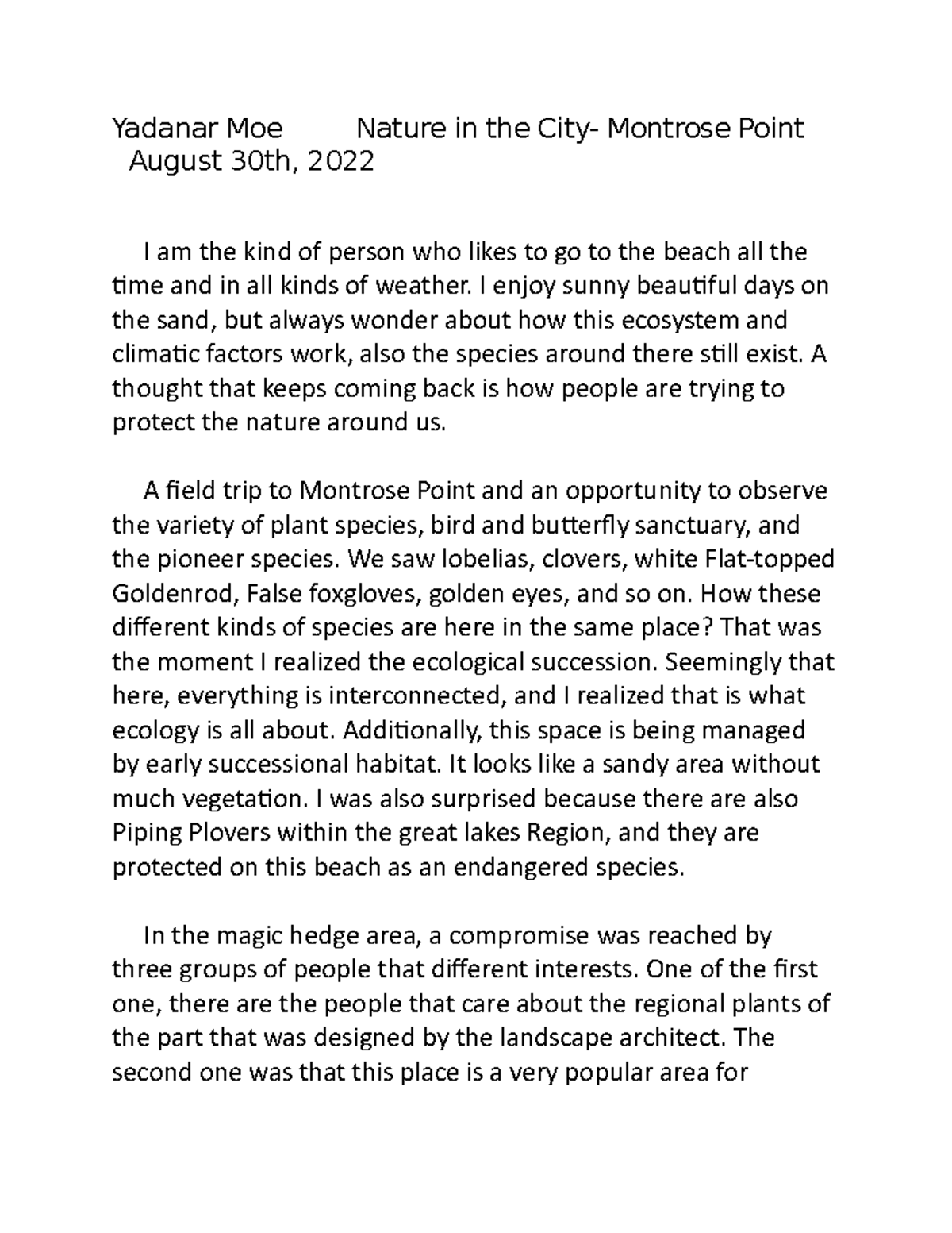 Montrose Point Reflection - Yadanar Moe Nature in the City- Montrose ...