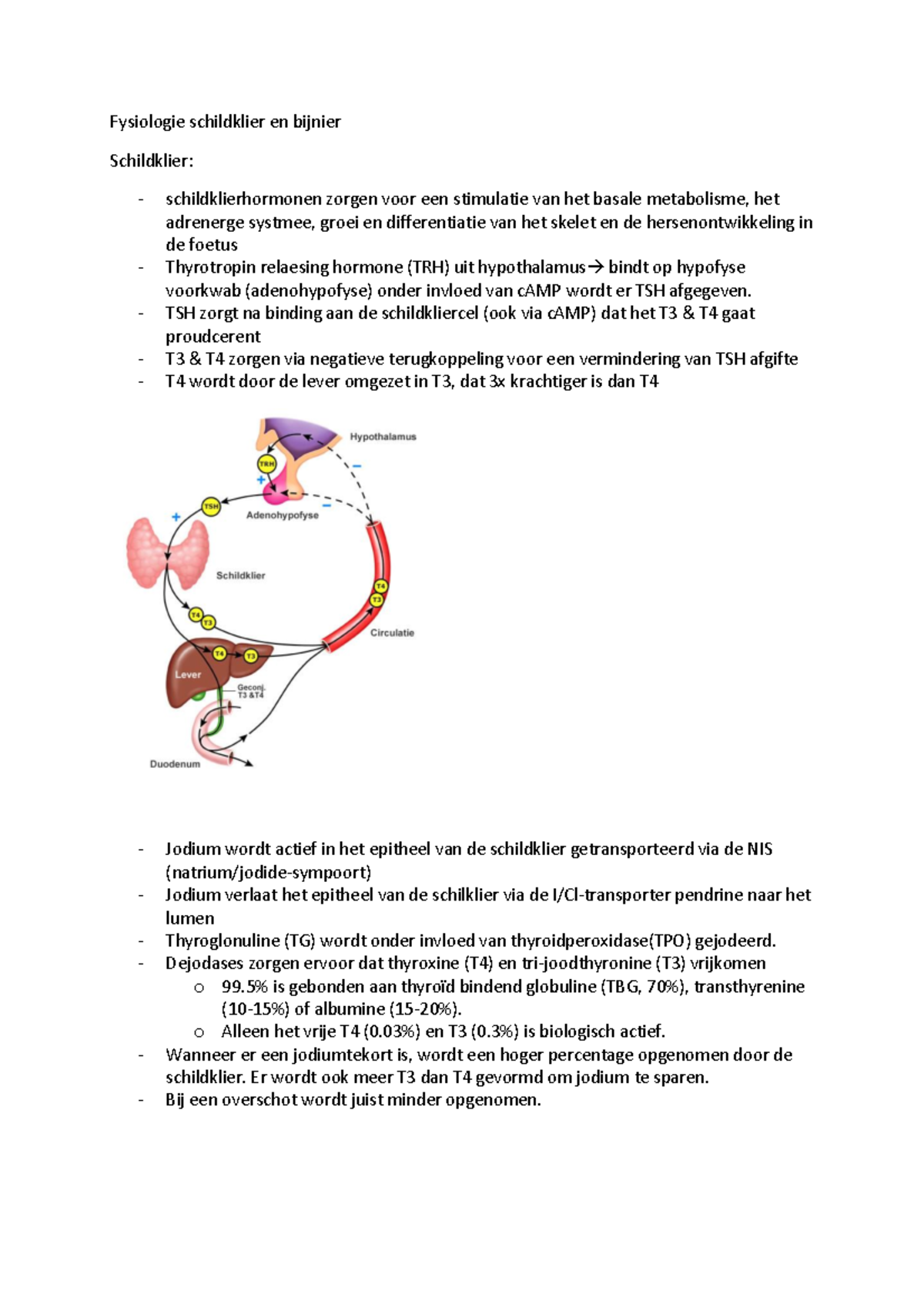 Samenvatting Sturing en stofwisseling Fysiologie schildklier en bijnier ...