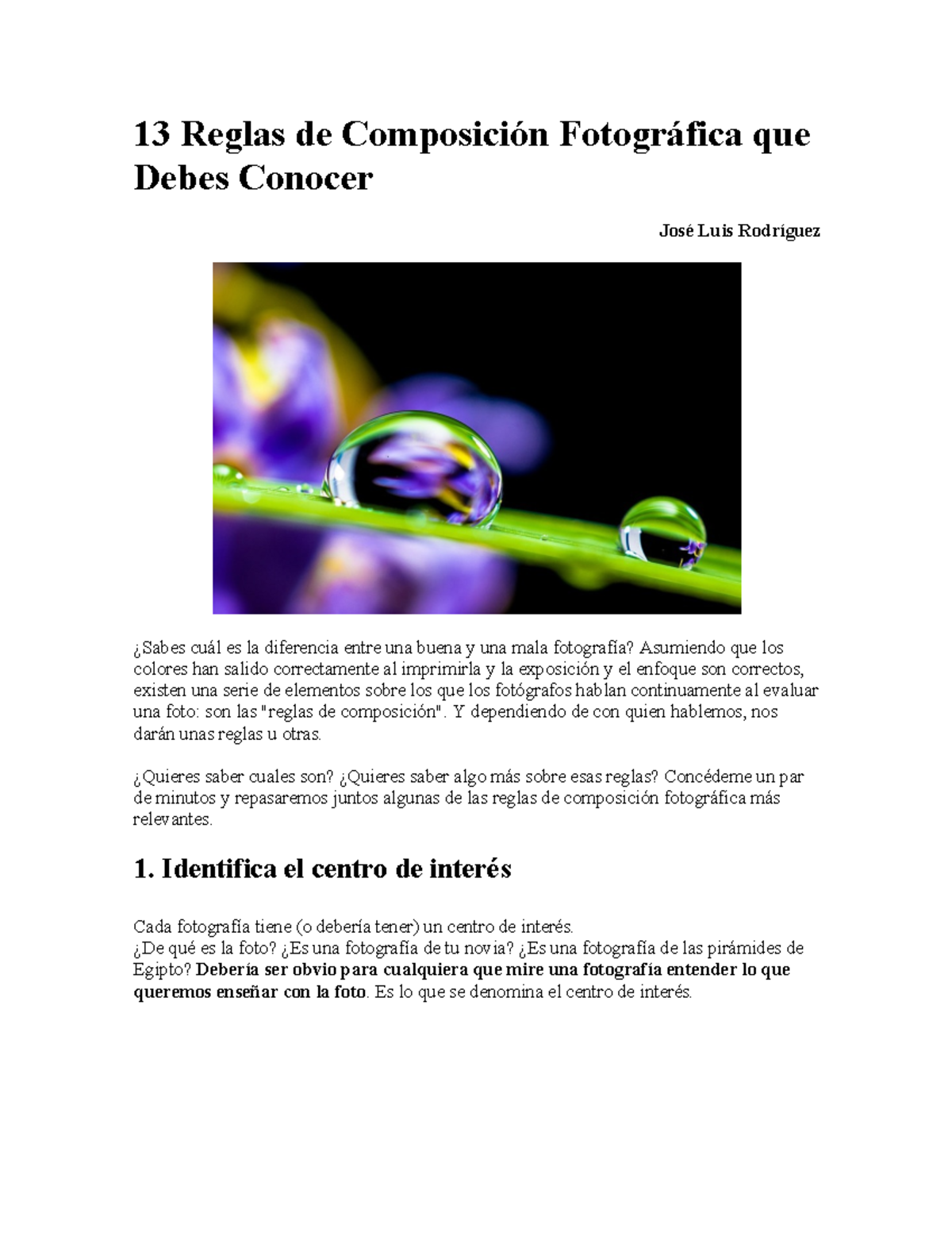 13 Reglas de Composición Fotográfica que Debes Conocer - 13 Reglas de ...