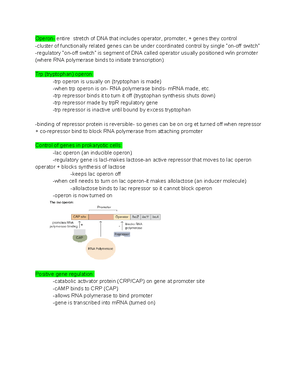 Structures of DNA and RNA molecules -DNA molecule has 2 polynucleotides ...