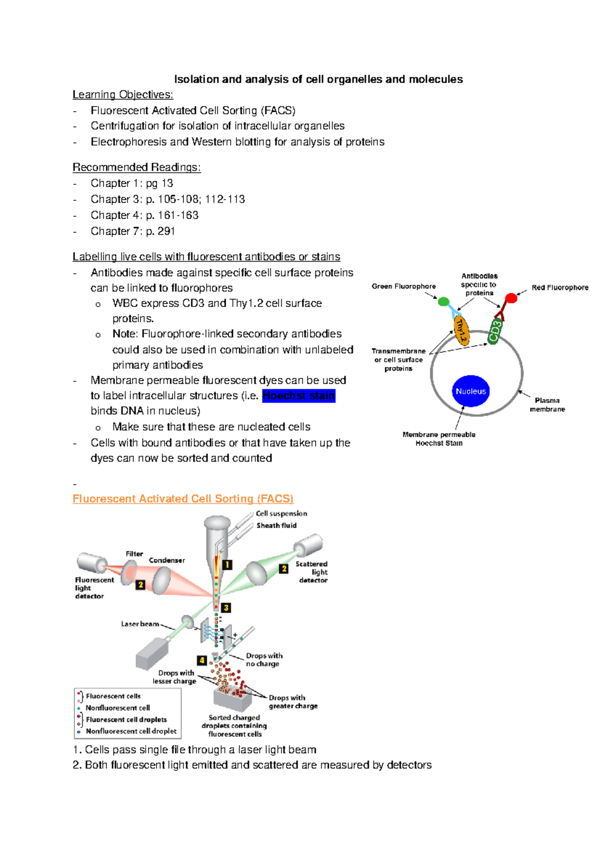Cummings Lecture 3-Isolation and analysis of cell organelles and ...