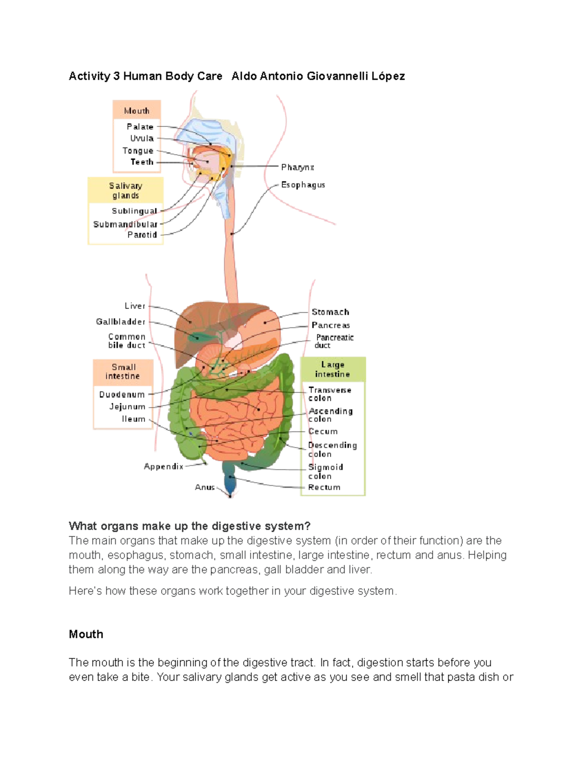 Activity 3 HBC - human body care - TecMilenio - Studocu