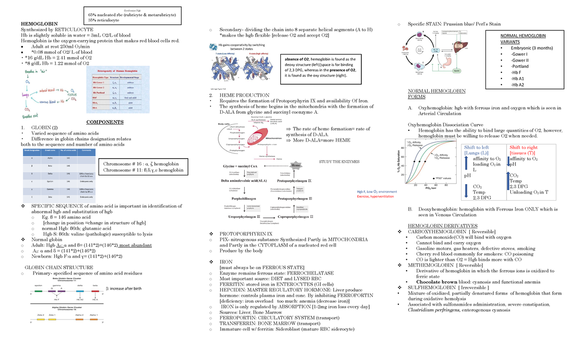 Hemoglobin [hematology] - Warning: TT: undefined function: 3 Warning: TT: undefined function: 32 ...