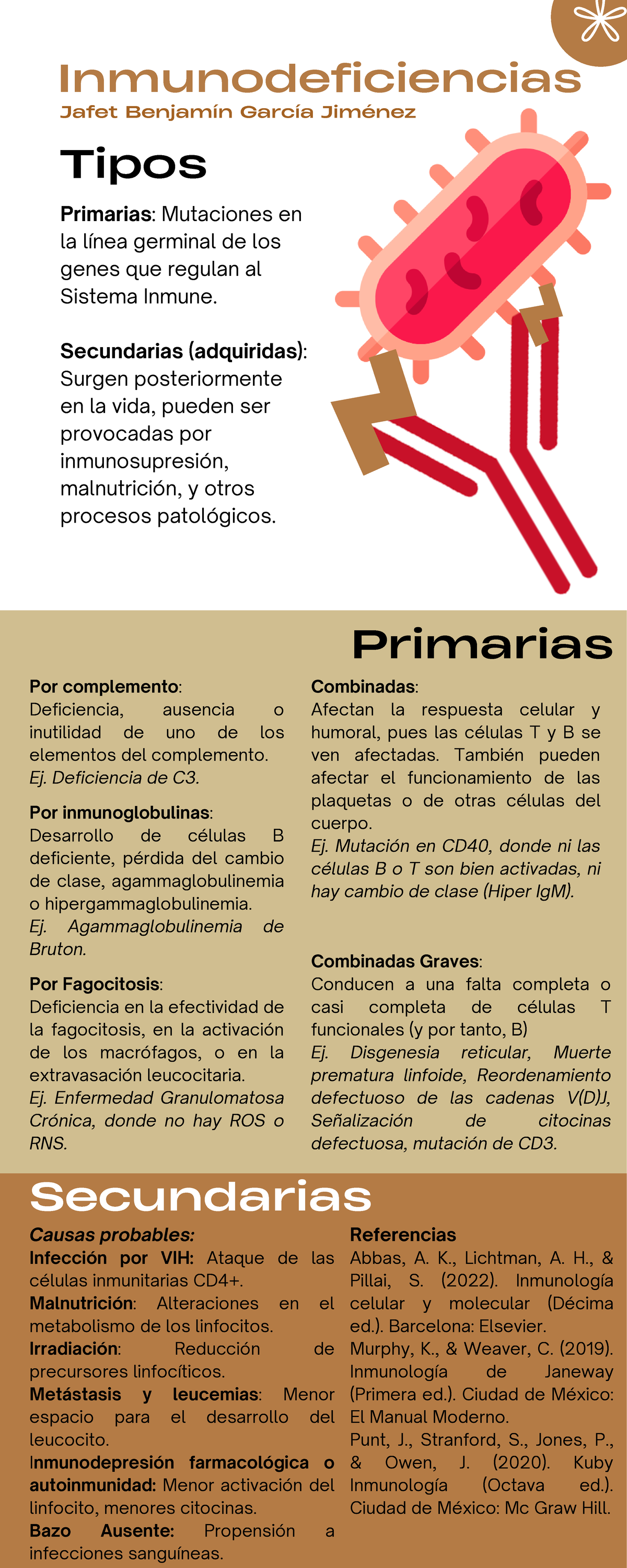 Inmunodeficiencias - Infografía - Inmunodeficiencias Tipos Primarias ...
