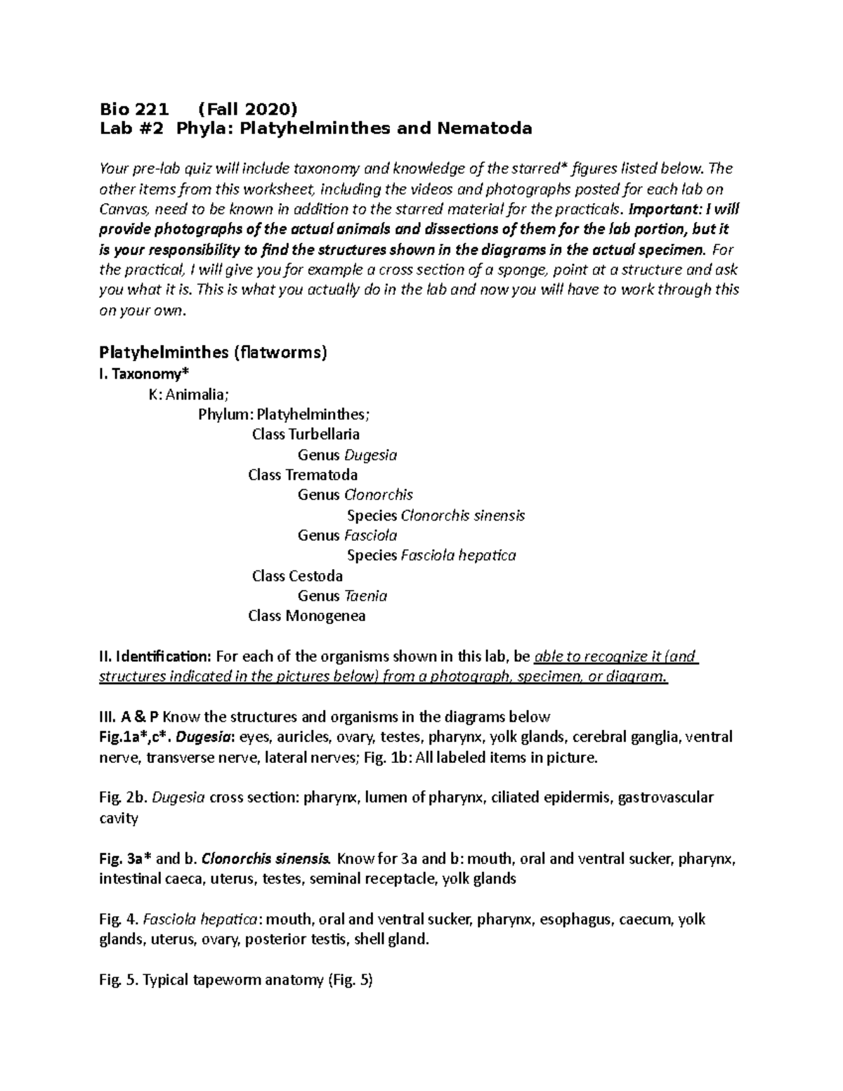 Zoology+lab+handout+2+(2020)ok - Bio 221 (Fall 2020) Lab #2 Phyla ...
