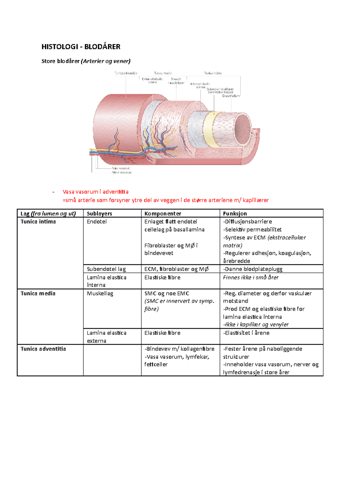 Modul 1 - Blodårer - HISTOLOGI - BLODÅRER Store blodårer (Arterier og vener) Vasa vasorum i ...