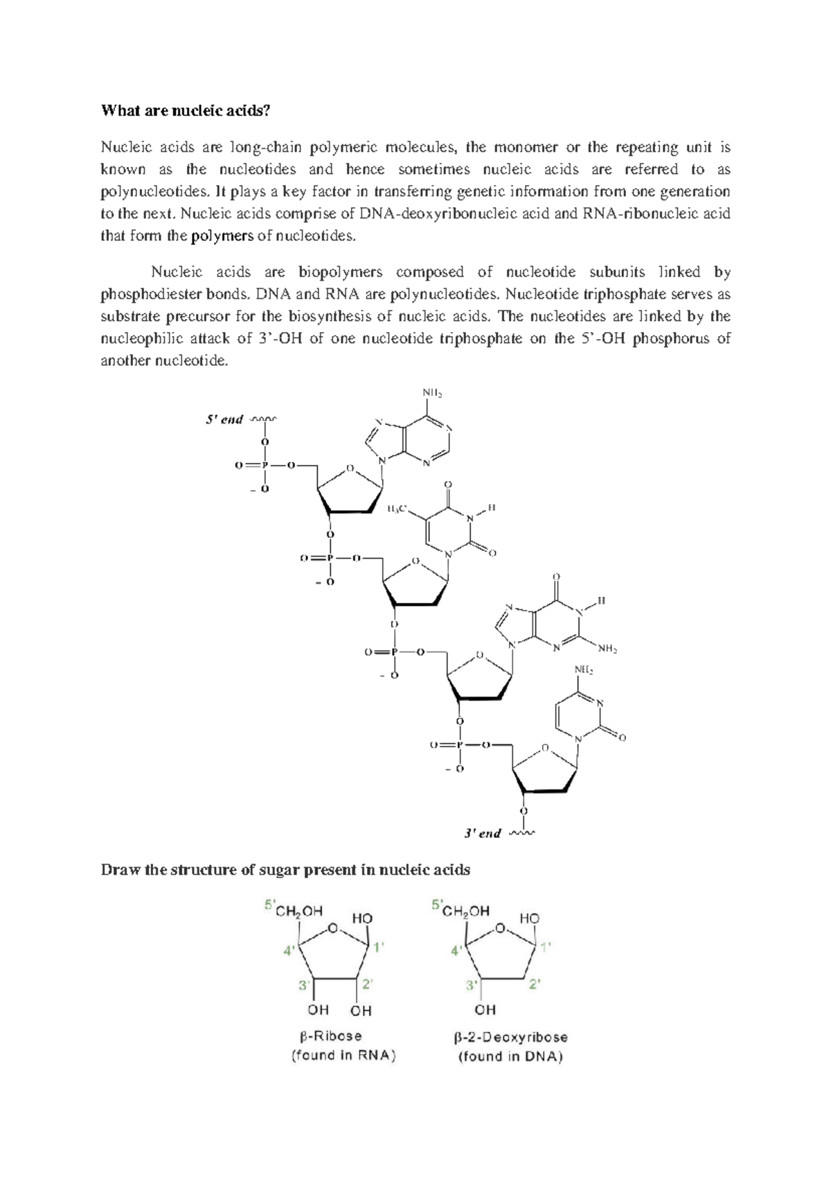 Nucleic acids notes part 1 - What are nucleic acids? Nucleic acids are ...