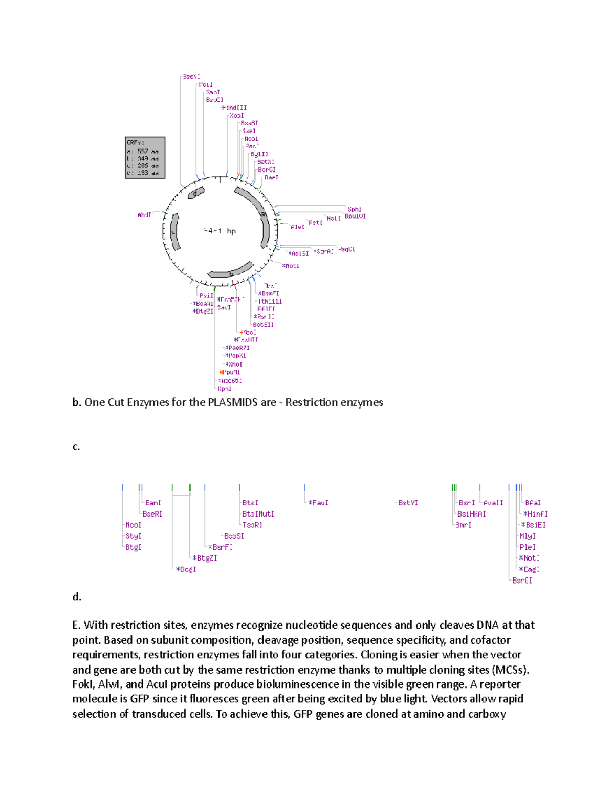 Plasmids project - aaaaaaaaa - b. One Cut Enzymes for the PLASMIDS are ...