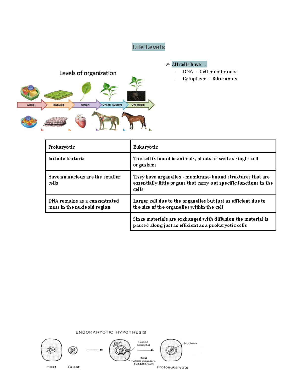 Cell Structure- Notes - Life Levels All cells have... - DNA - Cell ...