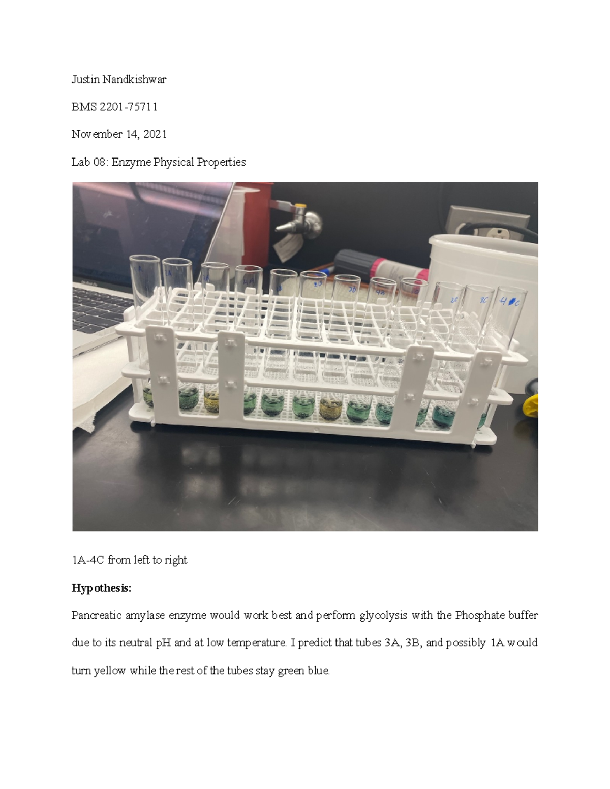 Bms 2201 lab 8 fall 2021 - lecture - Justin Nandkishwar BMS 2201 ...