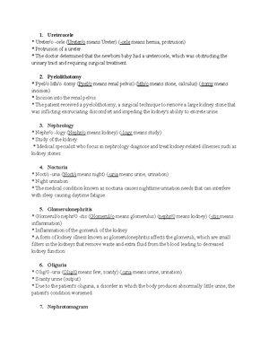 Reproduction and Obstetrics Word Use - Spermatolysis Spermat/o -lysis ...