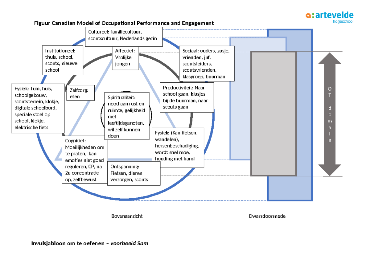 Cmop E Figuur Sam Cmop E Sam Figuur Canadian Model Of Occupational