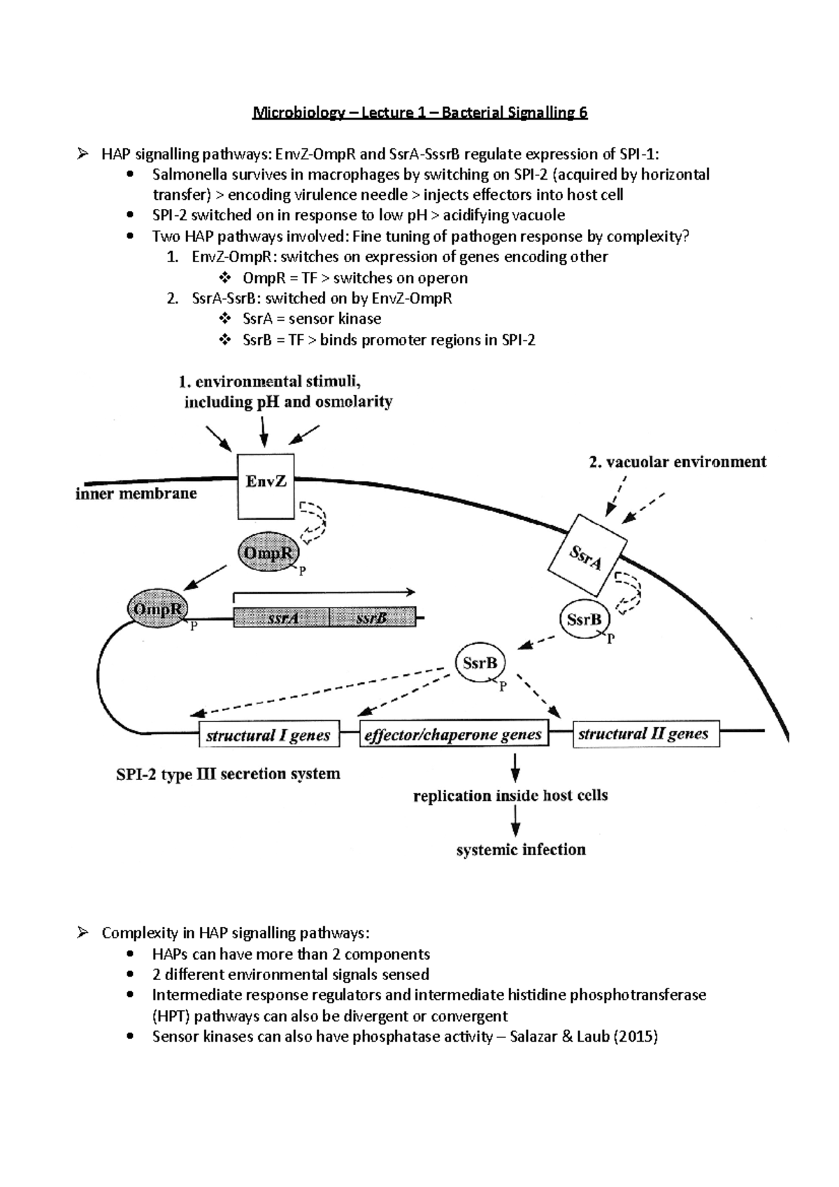 Microbiology – Lecture 1 – Bacterial Signalling - 6 - Microbiology ...