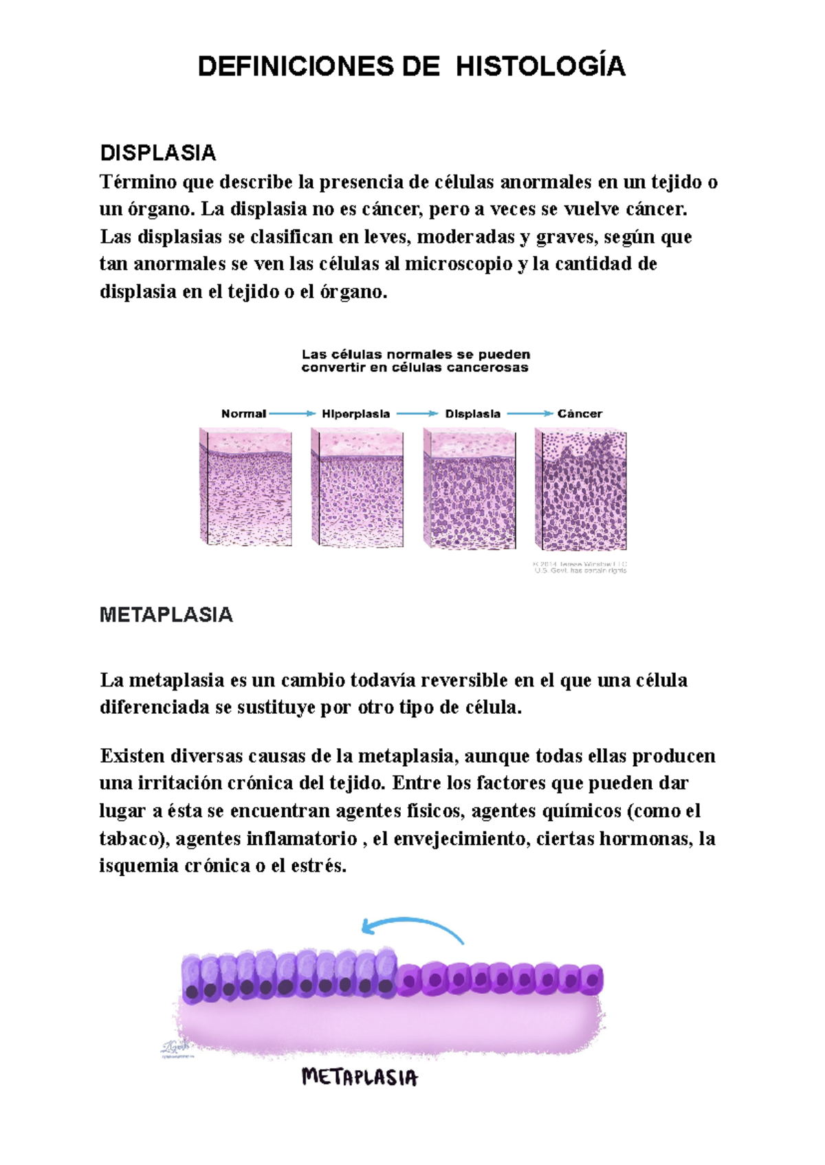 Definiciones Histologia - DEFINICIONES DE HISTOLOGÍA DISPLASIA Término ...