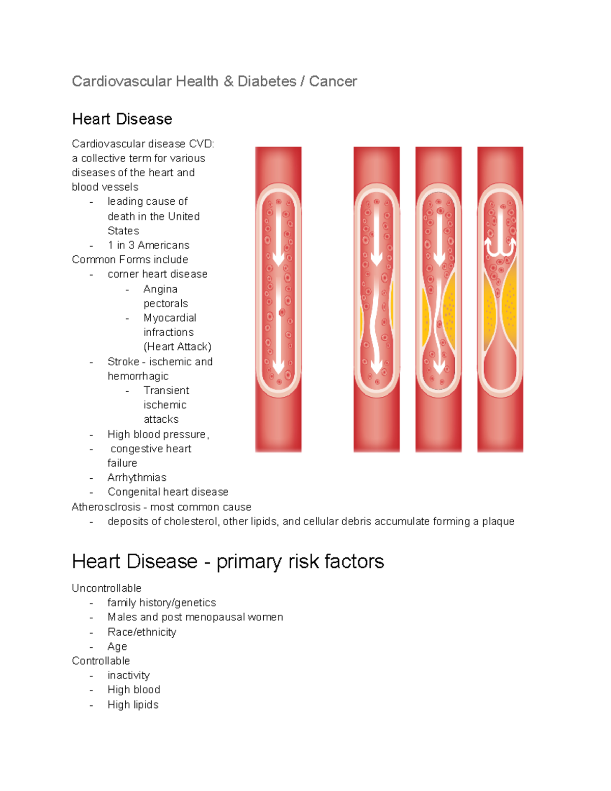 Ch. 11 and 12 - Notes - Cardiovascular Health & Diabetes / Cancer Heart ...