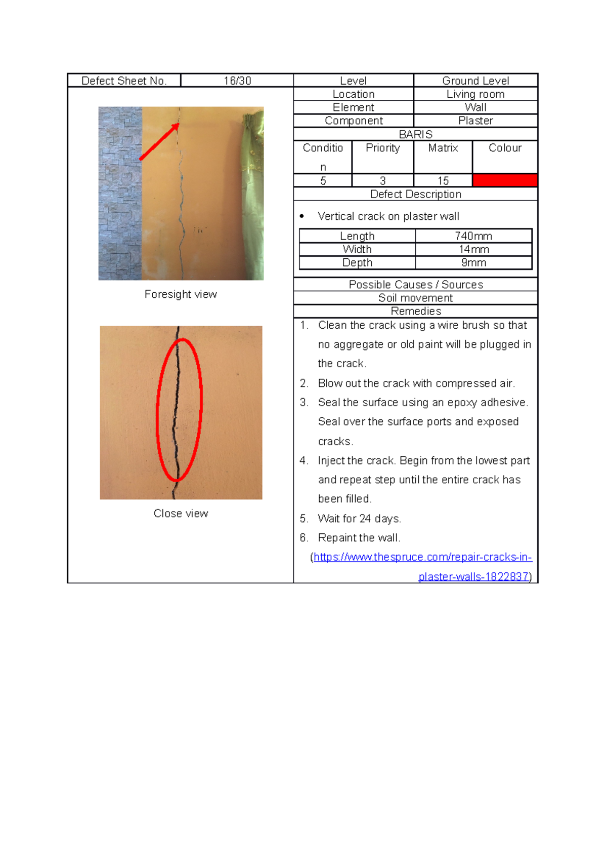 15 Defect - BSP - Foresight view Close view Location Living room ...