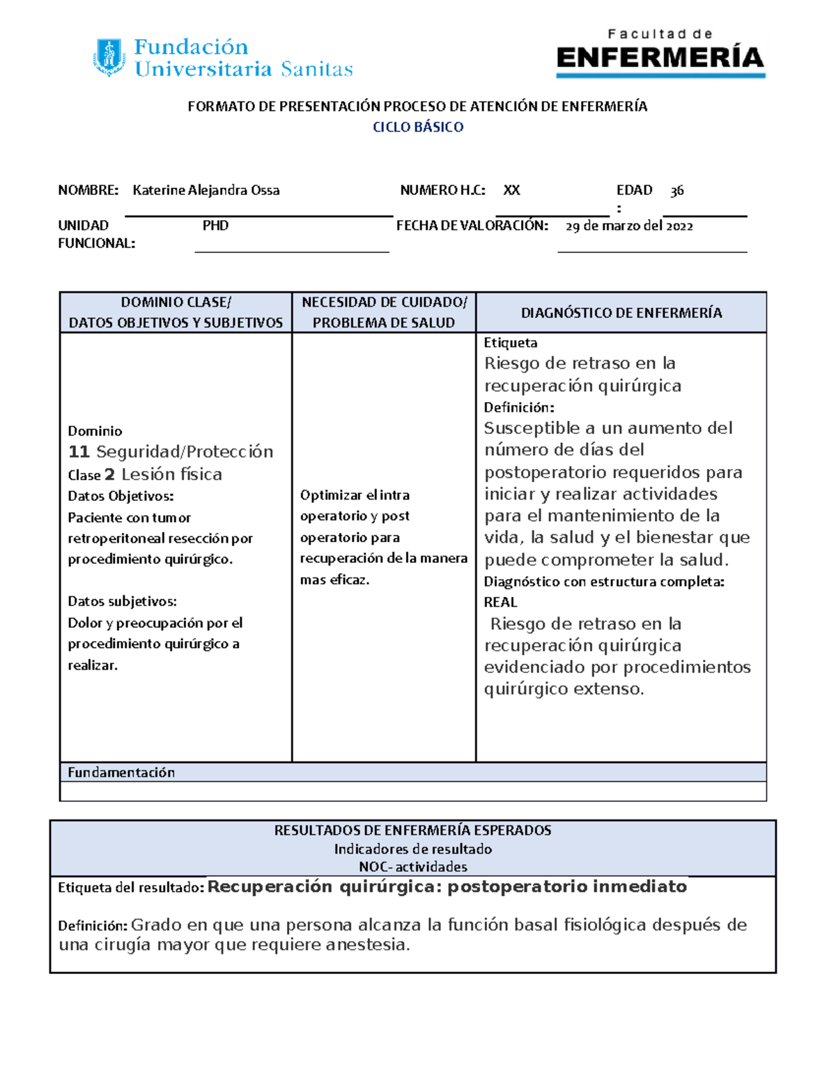 Pae, cuidados en enfermeria domiciliaria - FORMATO DE PRESENTACIÓN ...