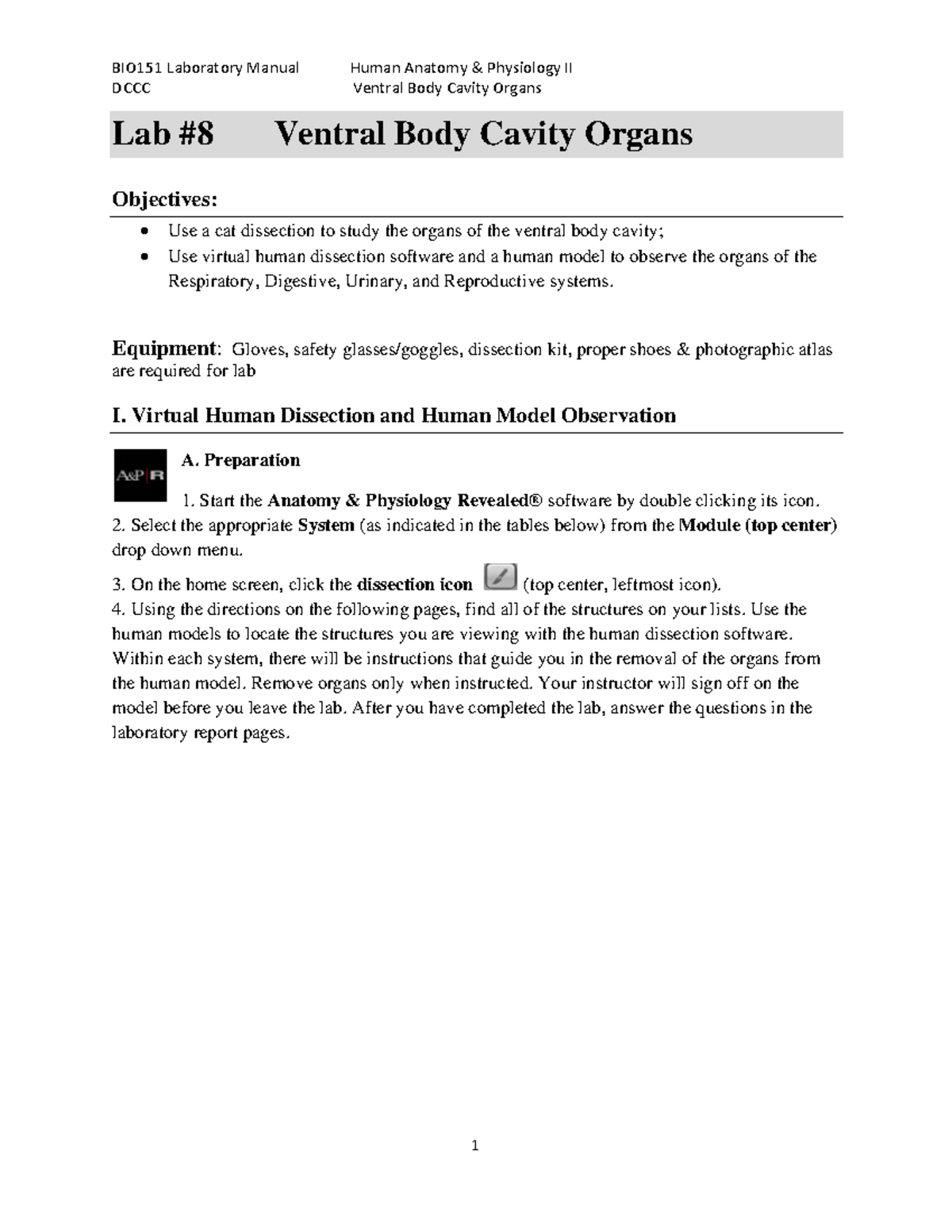 BIO151 Lab #8 Exercise - Laboratory Manual - DCCC Ventral Body Cavity Organs Lab #8 Ventral Body ...
