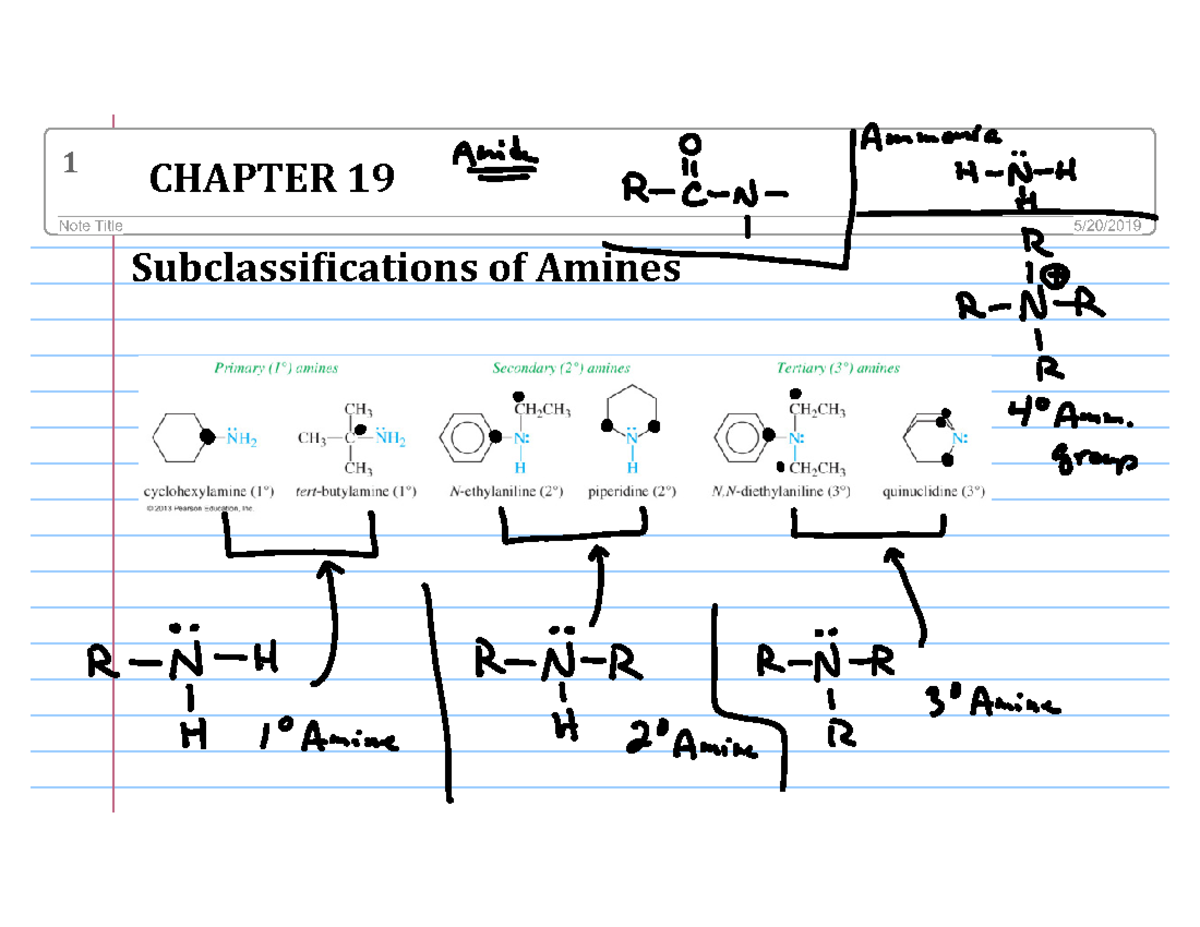 320 CH19 Finished - This s notes from the PowerPoint of chapter 19 with ...