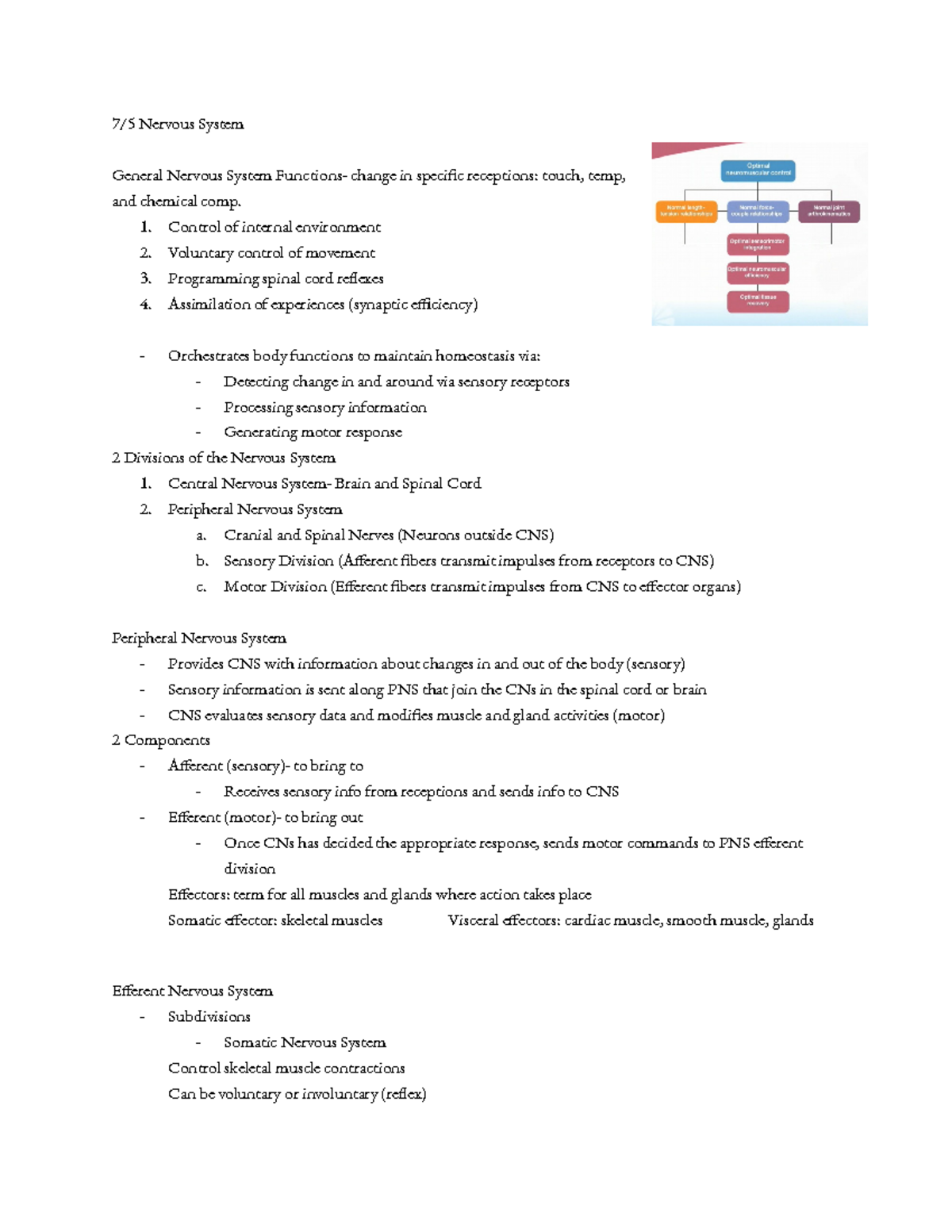 Nervous System Notes - 7/5 Nervous System General Nervous System ...
