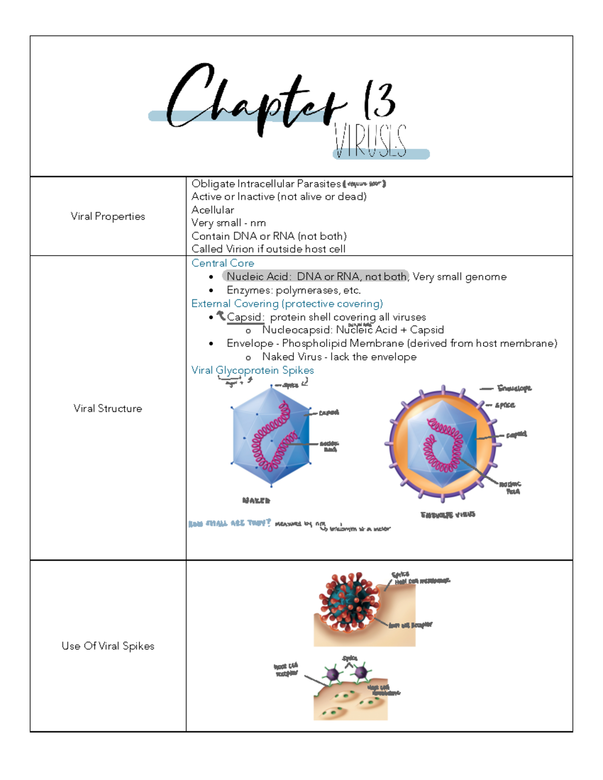 Chapter 13 - Viruses - Viral Properties Obligate Intracellular ...