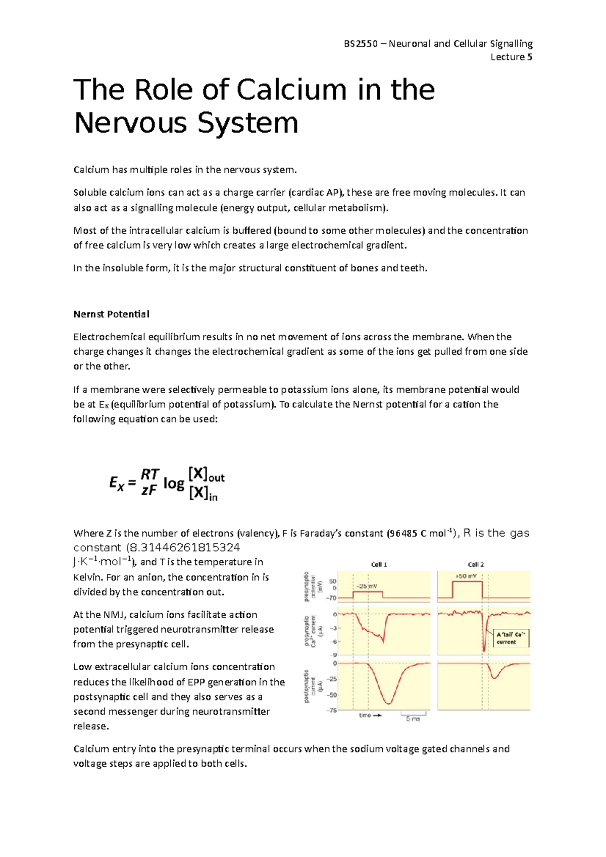 5 - Role of Calcium in the Nervous System - BS2550 – Neuronal and ...