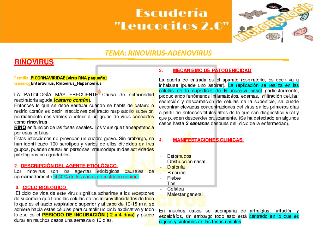 M.3.3. Rinovirus Y Adenovirus - Fecha: 29/04/ Docente: Dr. Huarita ...