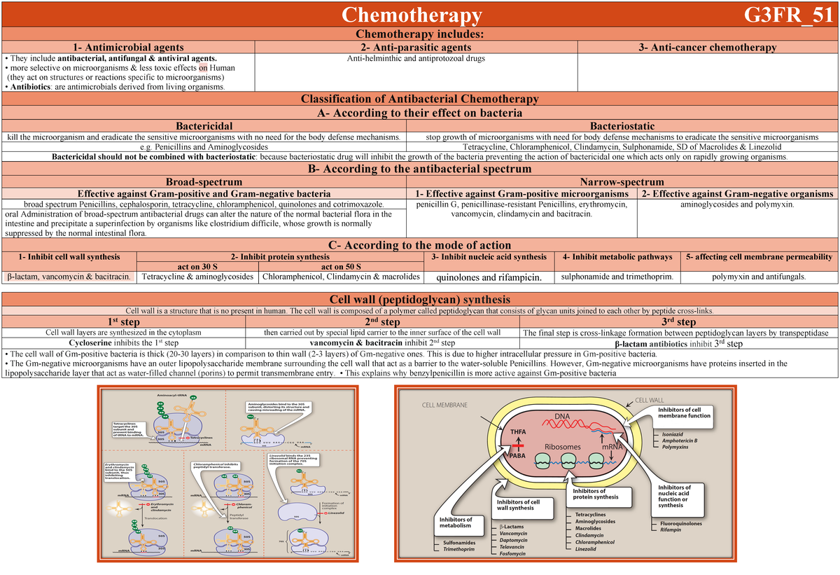 Chemotherapy - pharmacology - Chemotherapy G3FR_ Chemotherapy includes ...