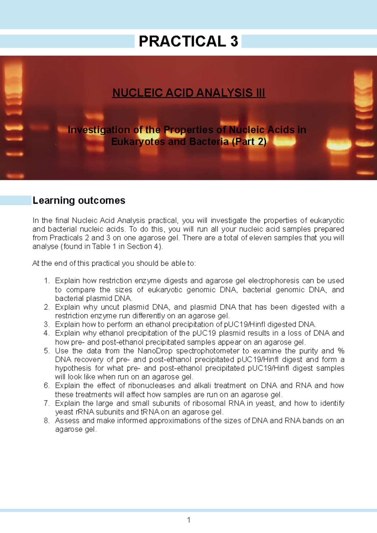 BIOC2201 Practical 3 Week 4 2023 Student Notes - PRACTICAL 3 NUCLEIC ...
