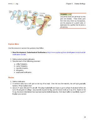 Eelc bio801a-22 - Summaries - 16 CURRICULUM OUTCOMES FRAMEWORK PRINCE ...