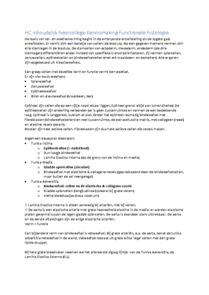 WG elke patiënt zijn eigen medicijn - Q1 1MFT WG Elke patiënt een eigen medicijn? Betablokkers ...