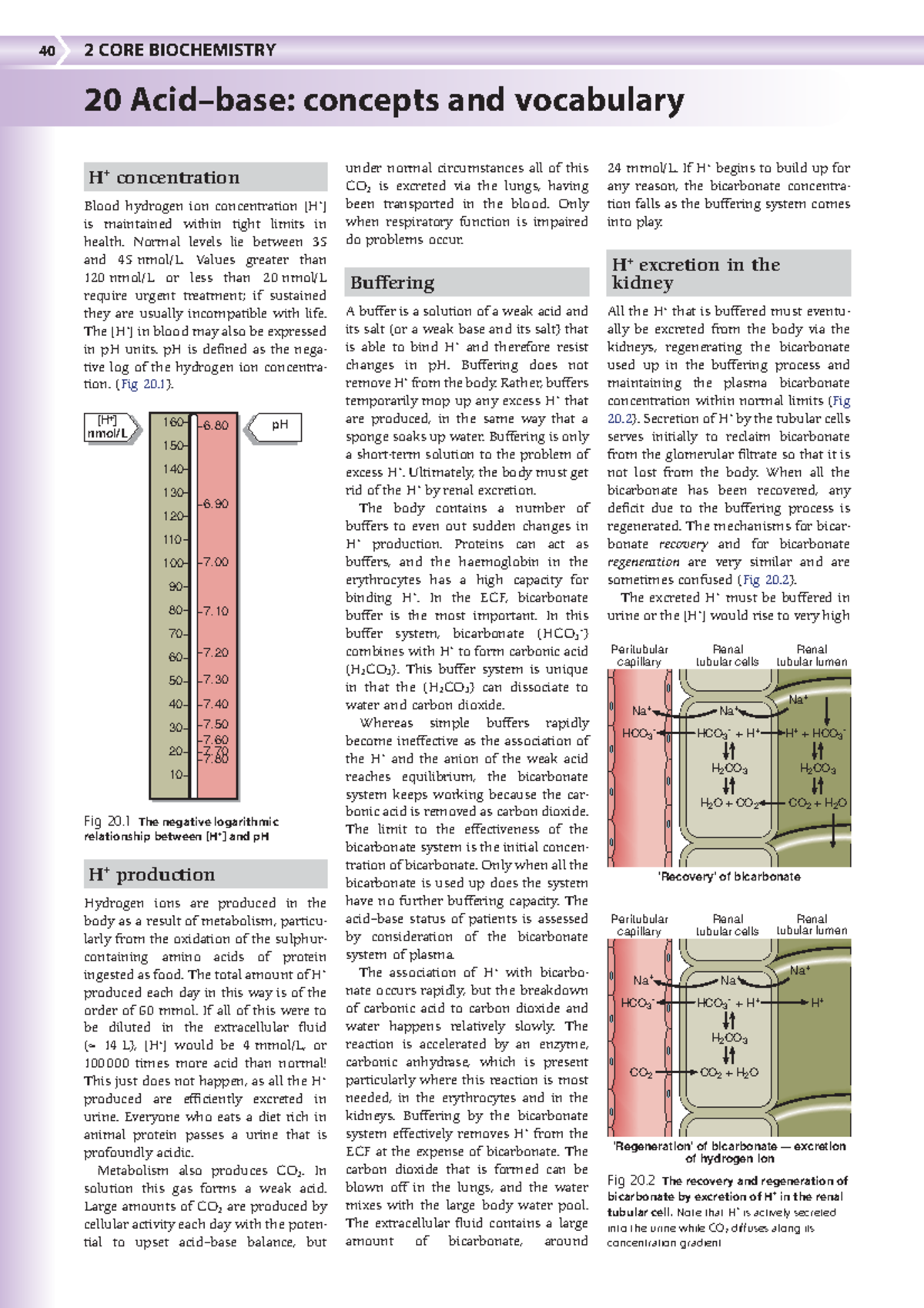Acid - Base Book Chapter (Background Reading) - 40 2 CORE BIOCHEMISTRY ...