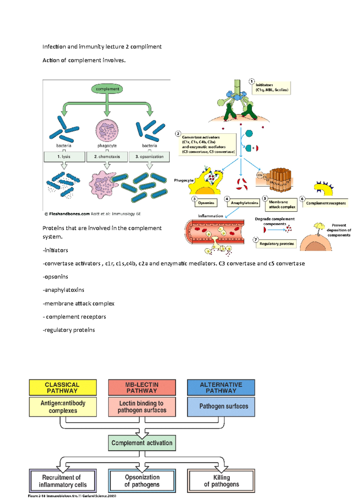 Infection and immunity lecture 2 complement - Infection and immunity ...