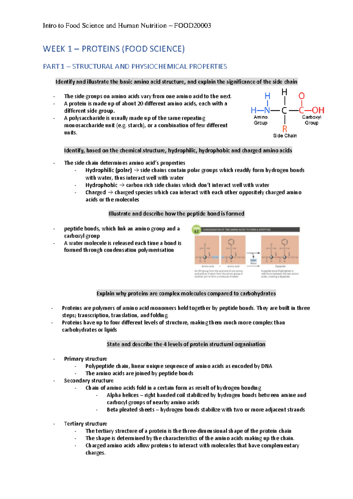 Intro to Food Science and Human Nutrition Notes - WEEK 1 – PROTEINS ...