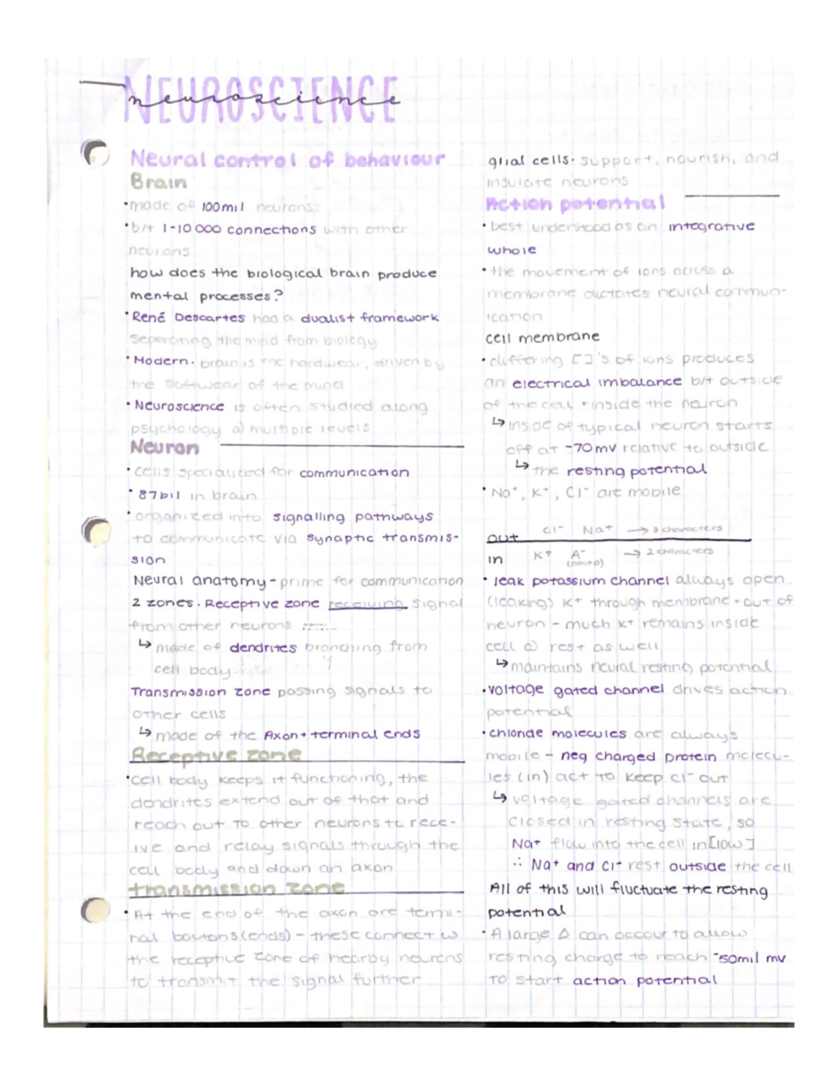 Neuroscience - notes - Psych 101 - Studocu