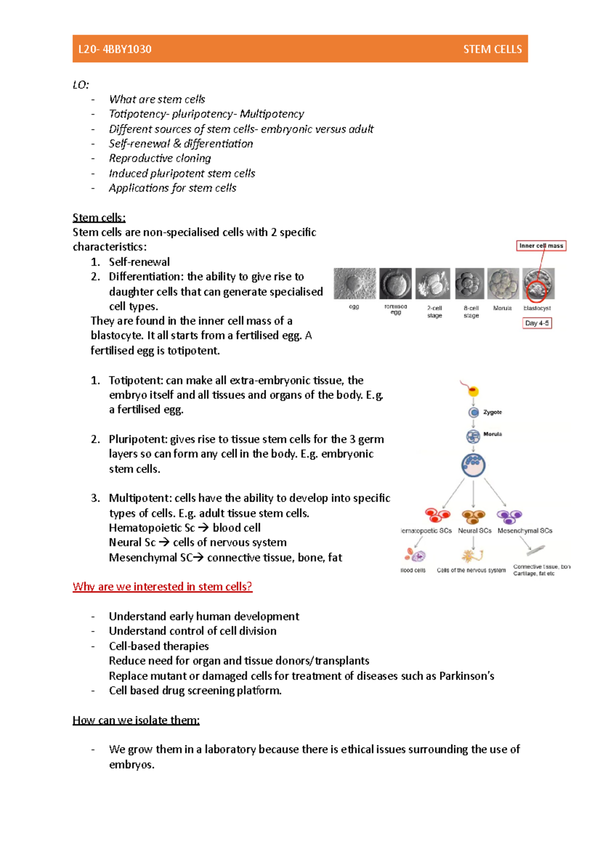 L20- stem cells - Lecture notes 20 - L20- 4BBY1030 STEM CELLS LO ...